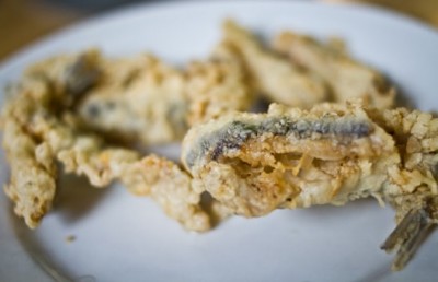 Anchovy | Boqueron tapas recipes