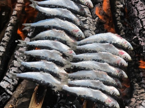 Espetos, the Grilled Sardines from Malaga. All you need to know