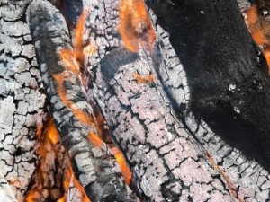 Espetos, the Grilled Sardines from Malaga. All you need to know