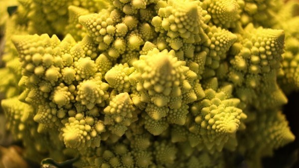 The Ultimate Guide to Malaga Atarazanas Food Market